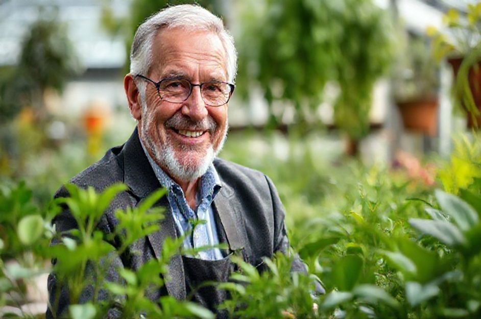 Finding Work After 60: An Inspiring Journey to Rediscovering Purpose ...